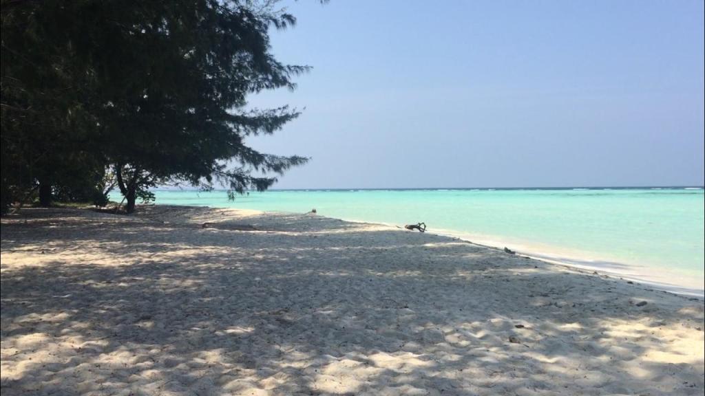 A Travel Guide to Karimunjawa Islands, Indonesia – The Island Girl ...