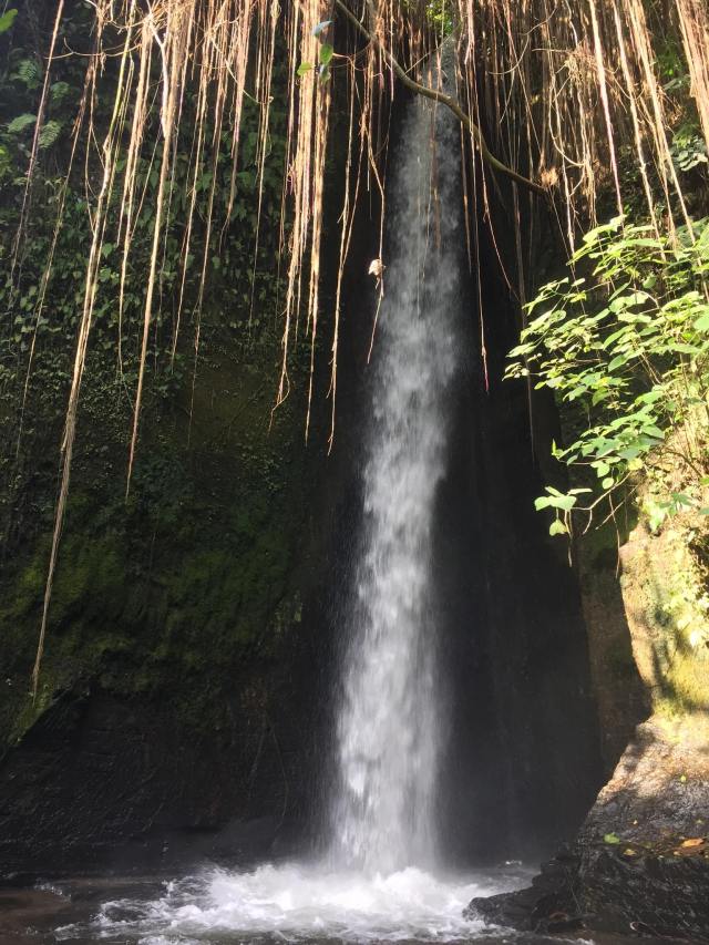 Chasing Waterfalls Near Ubud, Bali & Surrounding – The Island Girl ...